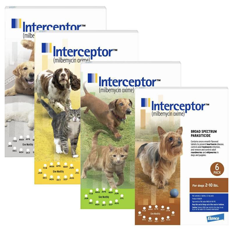 Interceptor Flavor Tabs for Dogs and Cats - Heartworm | Allivet