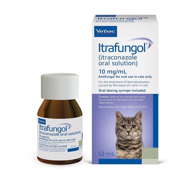 Buy Itraconazole Liquid for Cats Online | Oral Intrafungol | Allivet