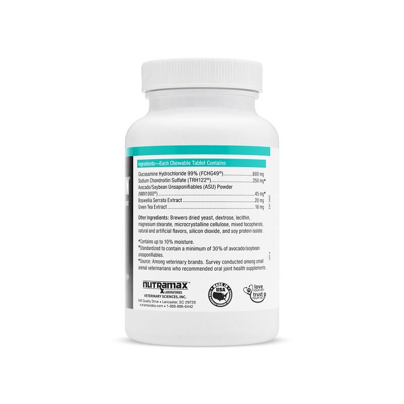 Dasuquin Joint Health Supplements for Dogs