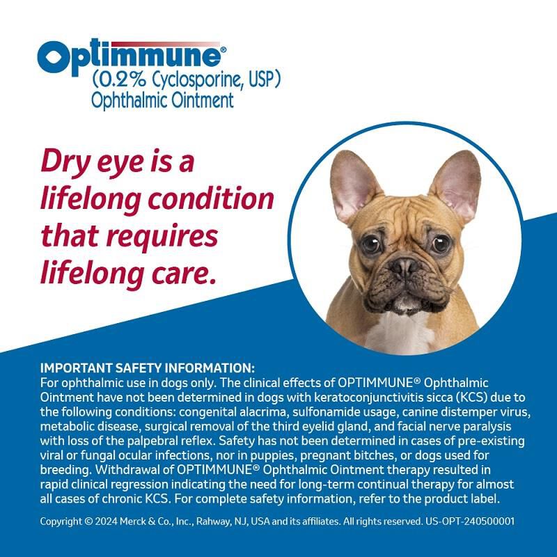 Buy Optimmune Ophthalmic Ointment 0.2% for Dogs Online | Allivet