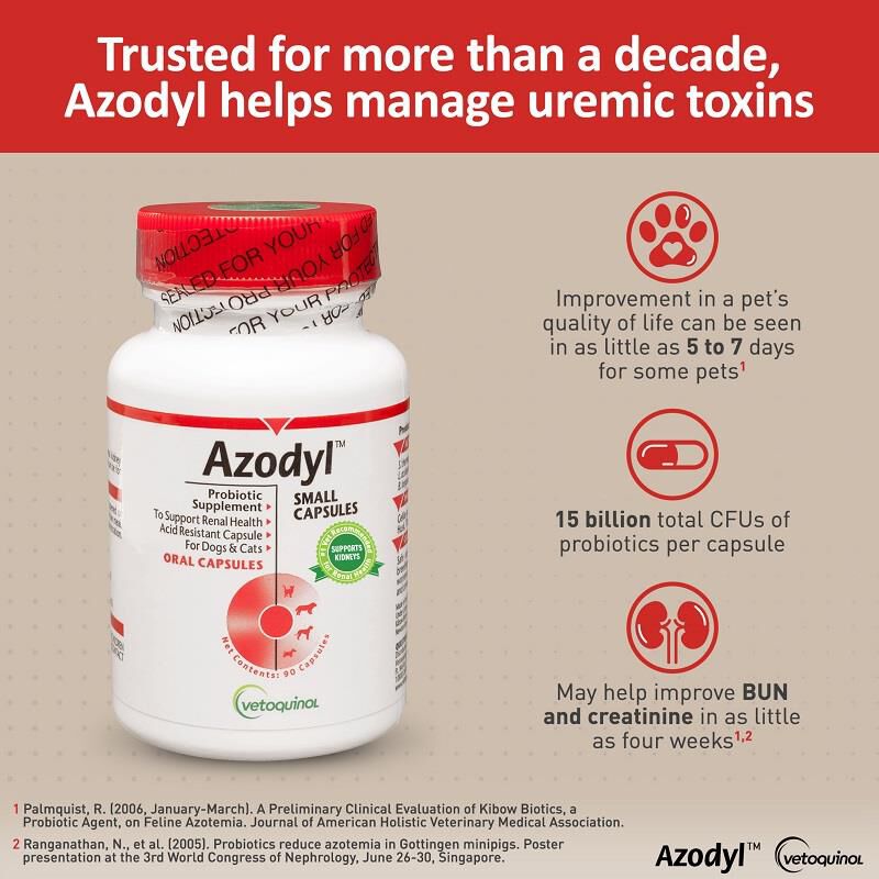 Azodyl Capsules for Dogs & Cats | Allivet Pet Pharmacy