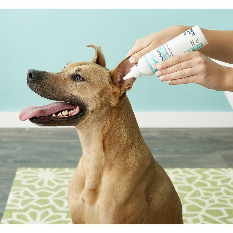 Dechra MalAcetic Ultra Otic Cleanser for Dogs, Cats & Horses