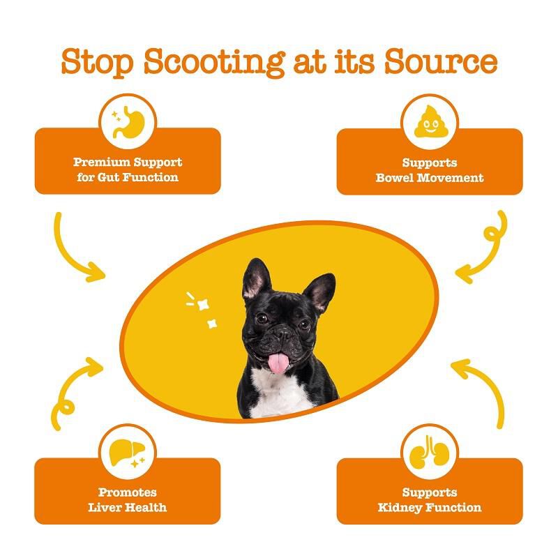 Zesty Paws Scoot Away Bites Digestion Supplement for Dogs | Allivet