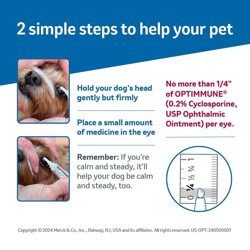 Buy Optimmune Ophthalmic Ointment 0.2% for Dogs Online | Allivet