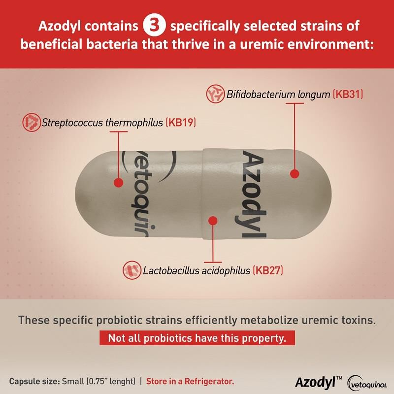 Azodyl Capsules for Dogs & Cats | Allivet Pet Pharmacy