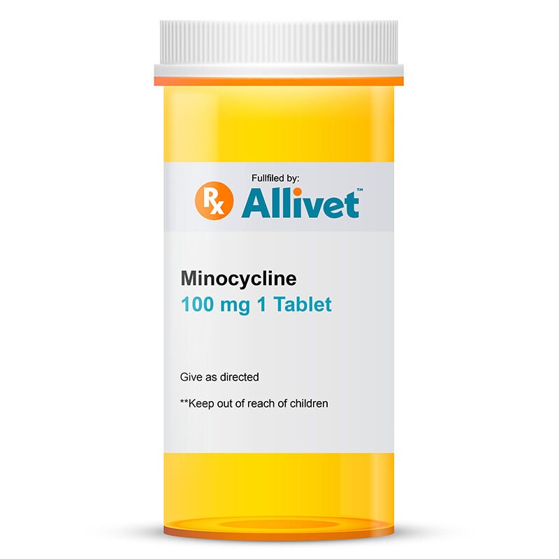 Minocycline 100 mg for Horses, Dogs & Cats | Antibiotics | Allivet