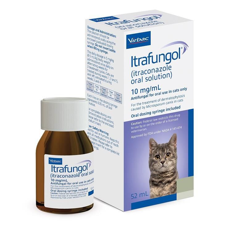 Itraconazole Liquid - Antifungal Medication for Cats - Allivet