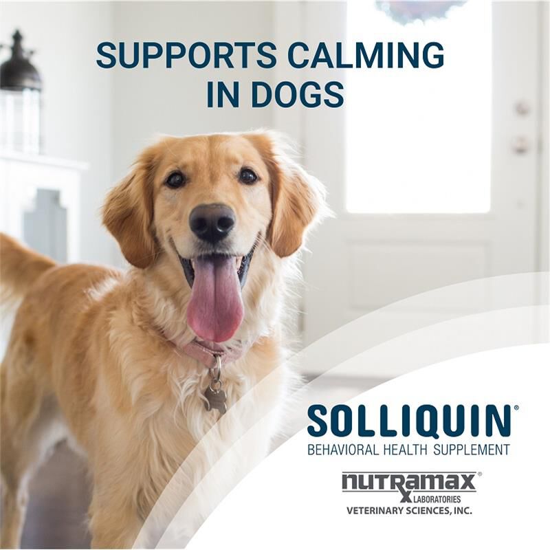 Solliquin Behavioral Health Supplement for Large Dogs, 75 Soft Chews