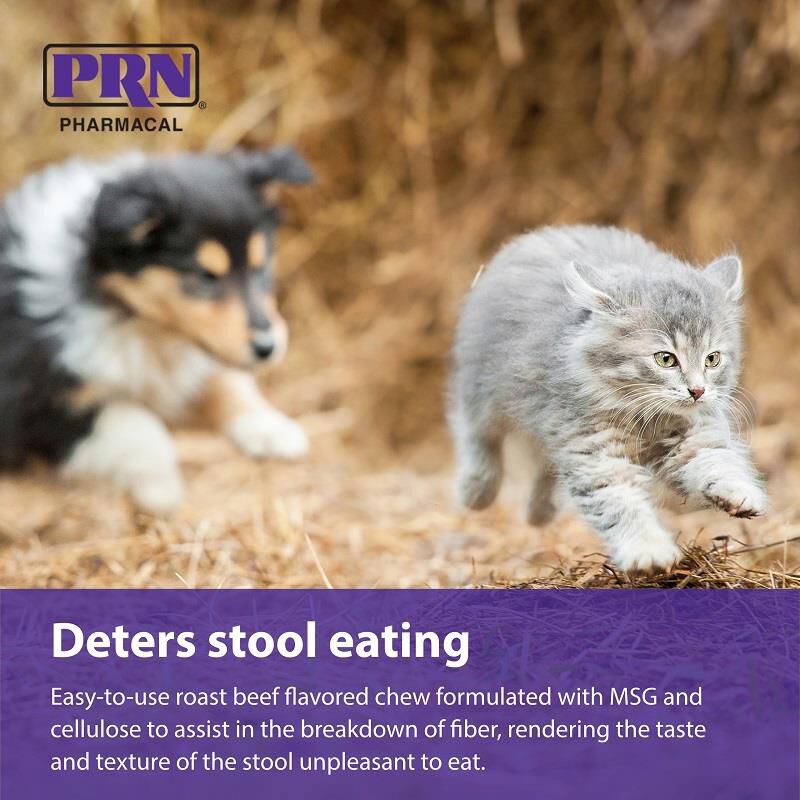 CoproBan Soft Chew 20 Ct | Buy CoproBan Chews for cats and dogs