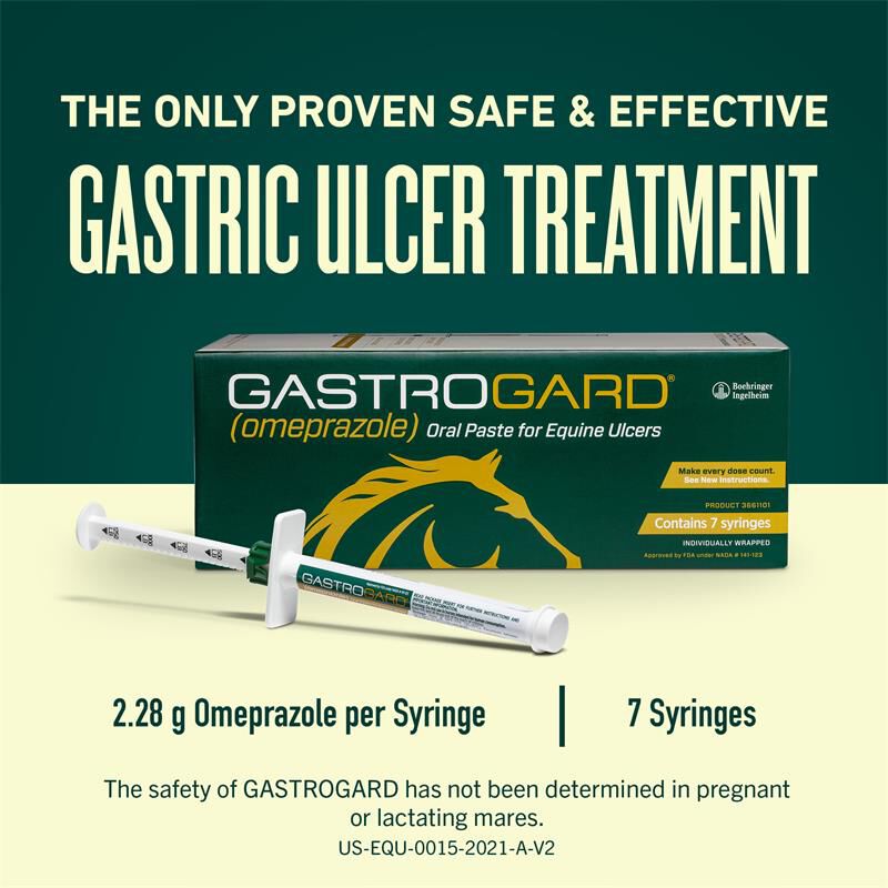 Gastrogard (Omeprazole Paste) for Horses | Allivet