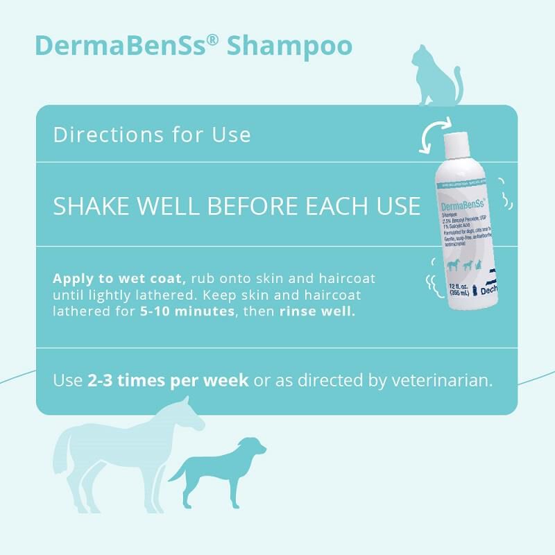 Dechra DermaBenSs Shampoo for Dogs, Cats & Horses | Allivet