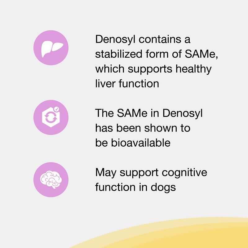 Denosyl chewable for dogs and cats | Nutramax Denosyl 30 tablets