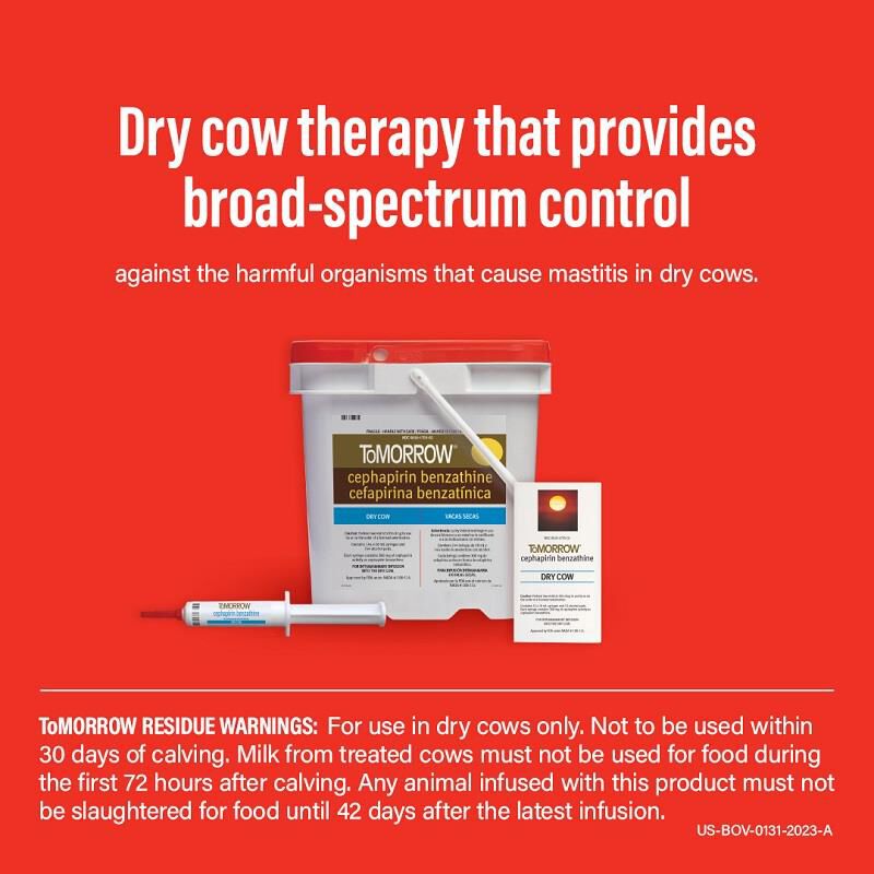 ToMORROW Mastitis Treatment for Dry Cows, Box of 12 x 10 ML Syringe ...