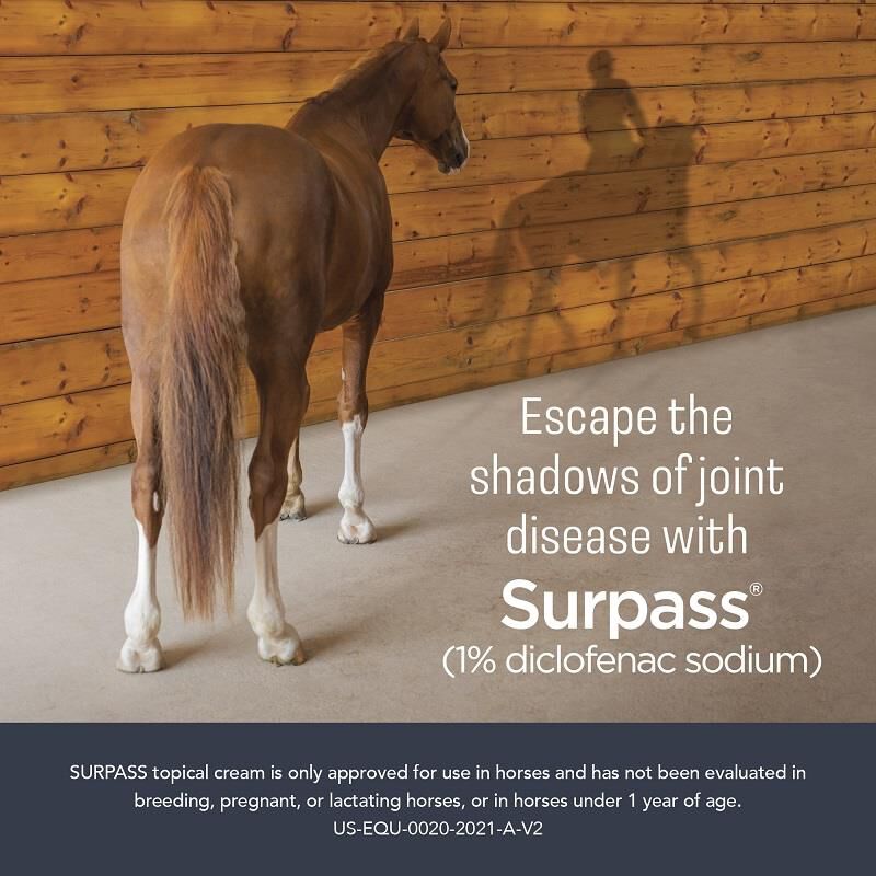 Surpass Equine topical cream | Buy Surpass for horses now