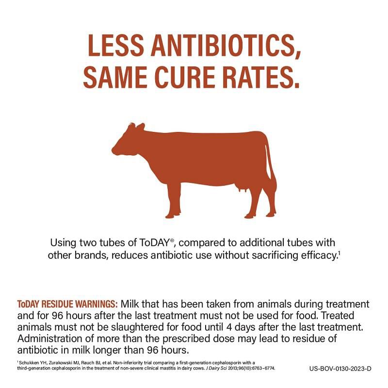 mastitis antibiotics