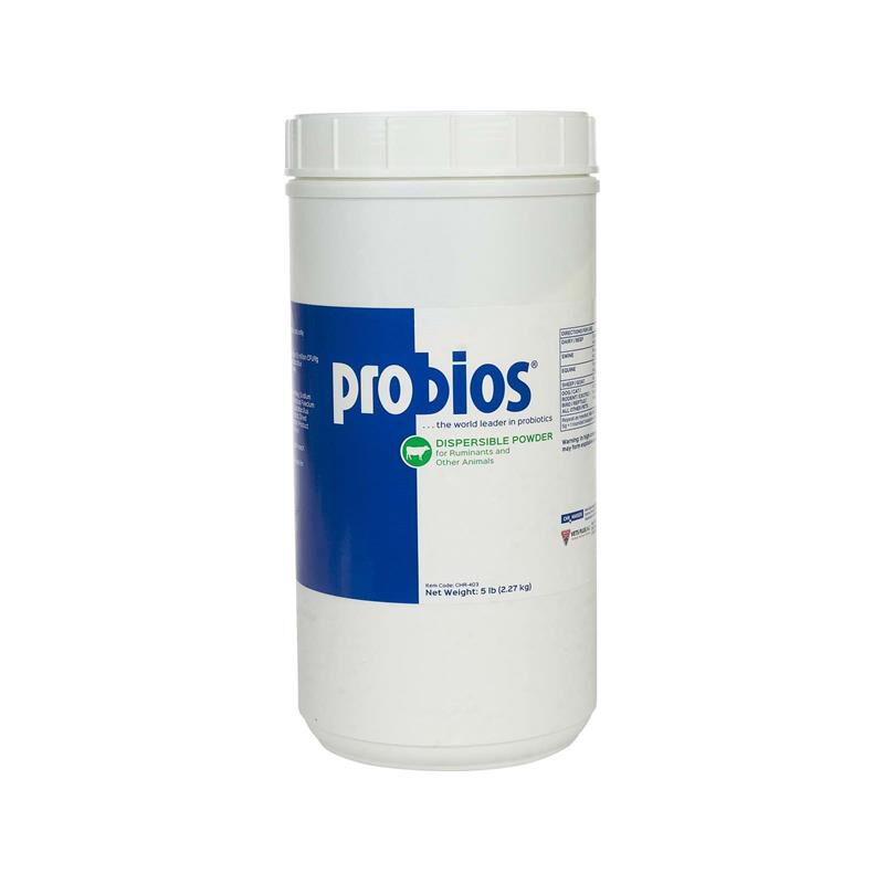 Probios | Allivet Trusted Pet Pharmacy