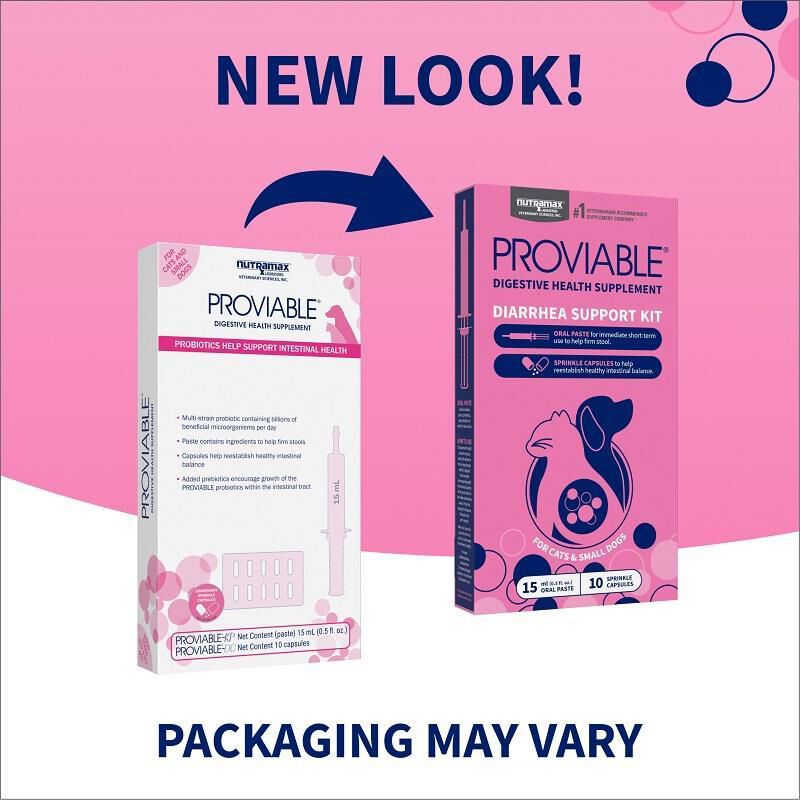 Proviable-KP Paste For Dogs & Cats - Probiotics | Allivet