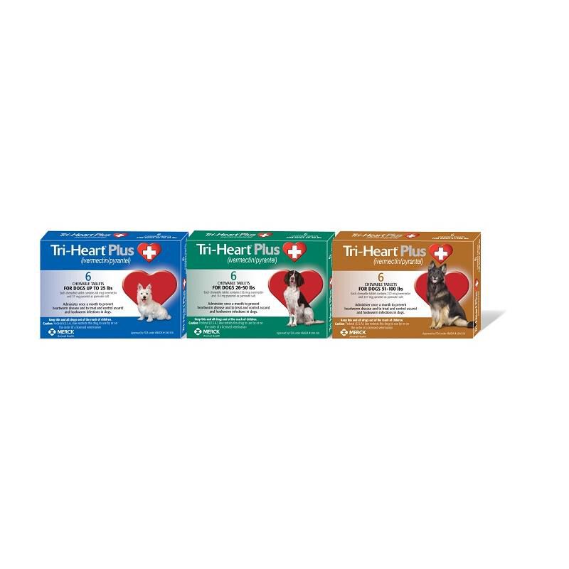 Tri-Heart Plus Chewable Tablets For Dogs | Allivet