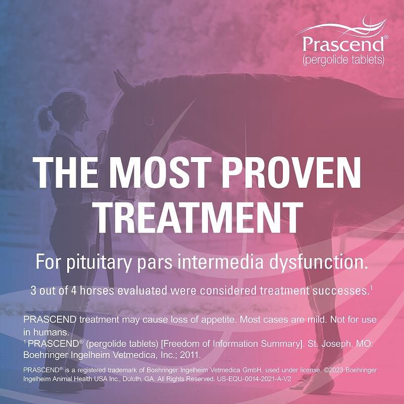 Buy Prascend Tablets for Horses | 60 Ct., 160 Ct. | Allivet