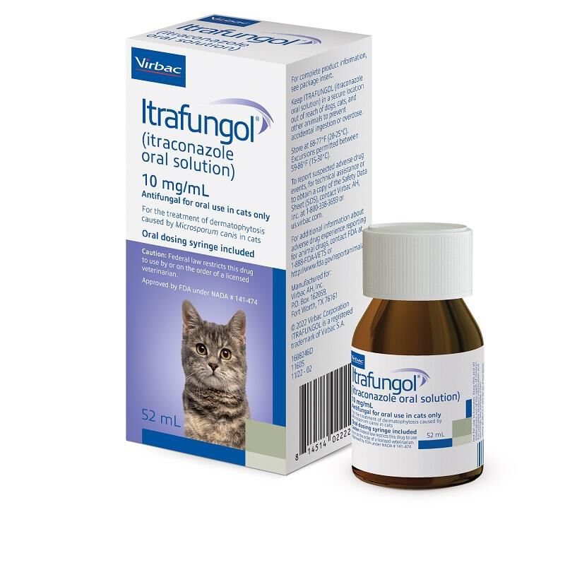 Itraconazole Liquid - Antifungal Medication for Cats - Allivet