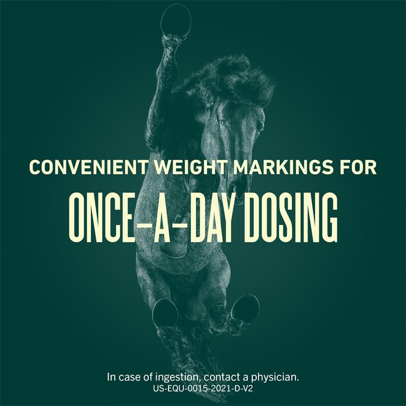 Gastrogard (Omeprazole Paste) for Horses | Allivet