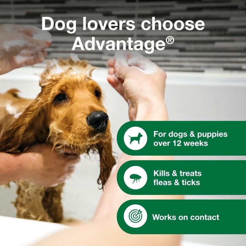 Get Advantage Shampoo for Dogs at the Lowest Price