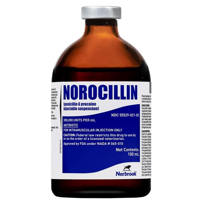 Norocillin Penicillin G Procaine Injectable