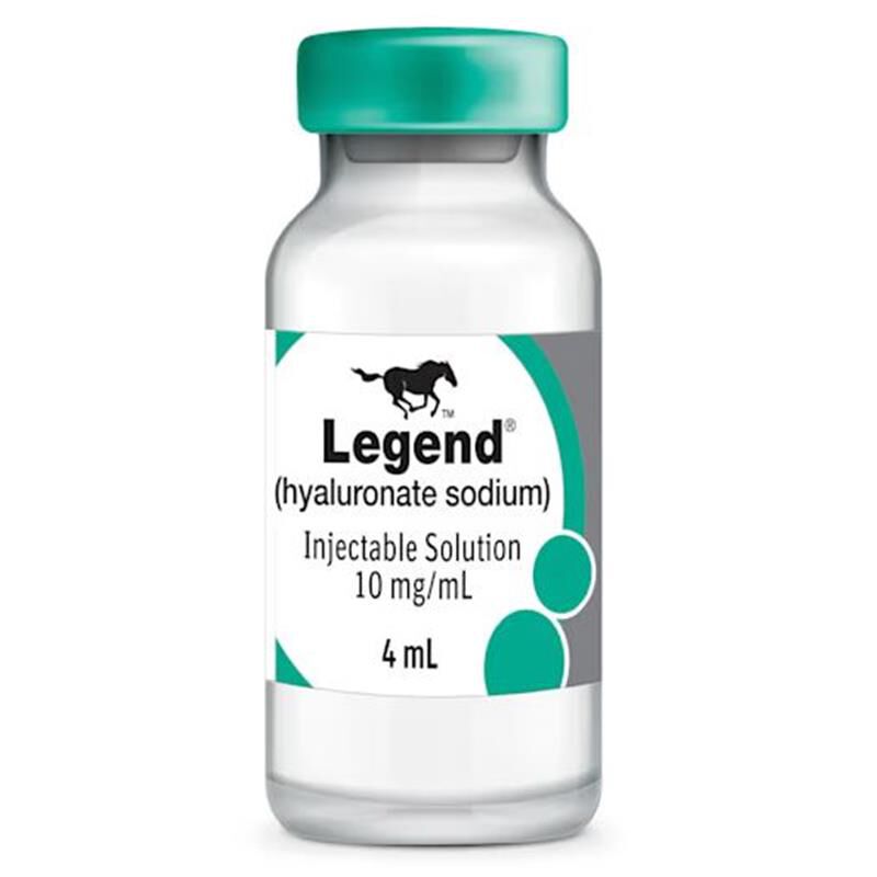 Legend 10 Mg/Ml 4 Ml injection Vial for Horses | Equine Meds