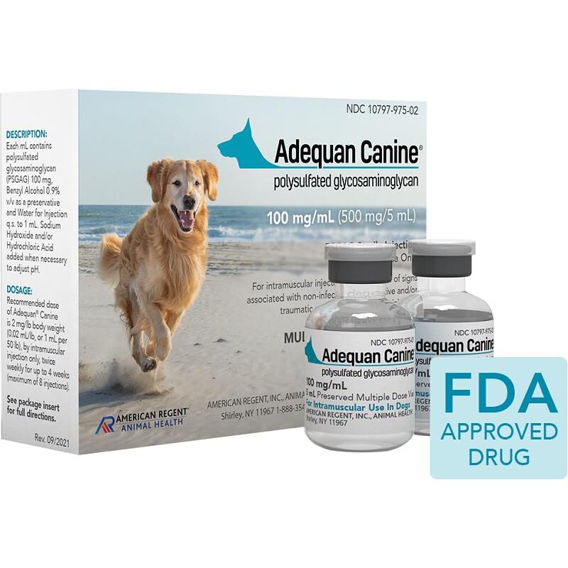 Adequan Canine Injections for Dogs - Best Price | Allivet