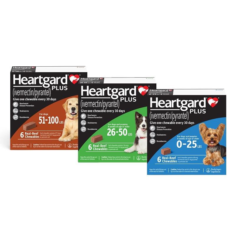 Heartgard Plus Chewables for Dogs - Protects from Heartworm