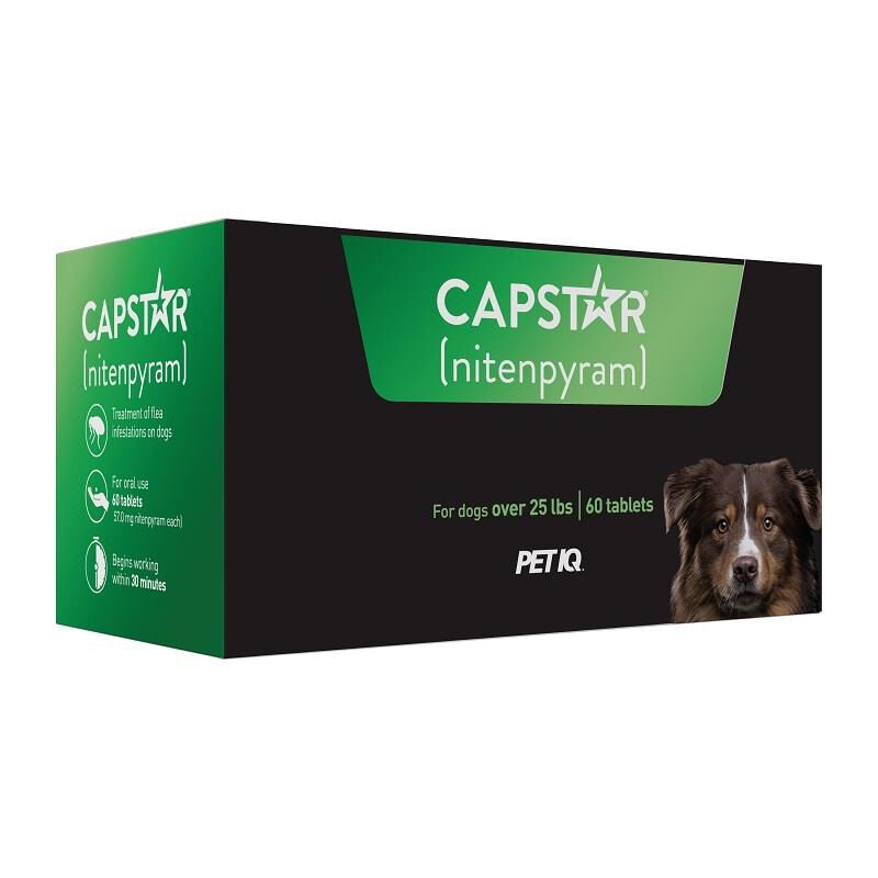 Buy Elanco Capstar Flea Tablets | Capstar for dogs and cats