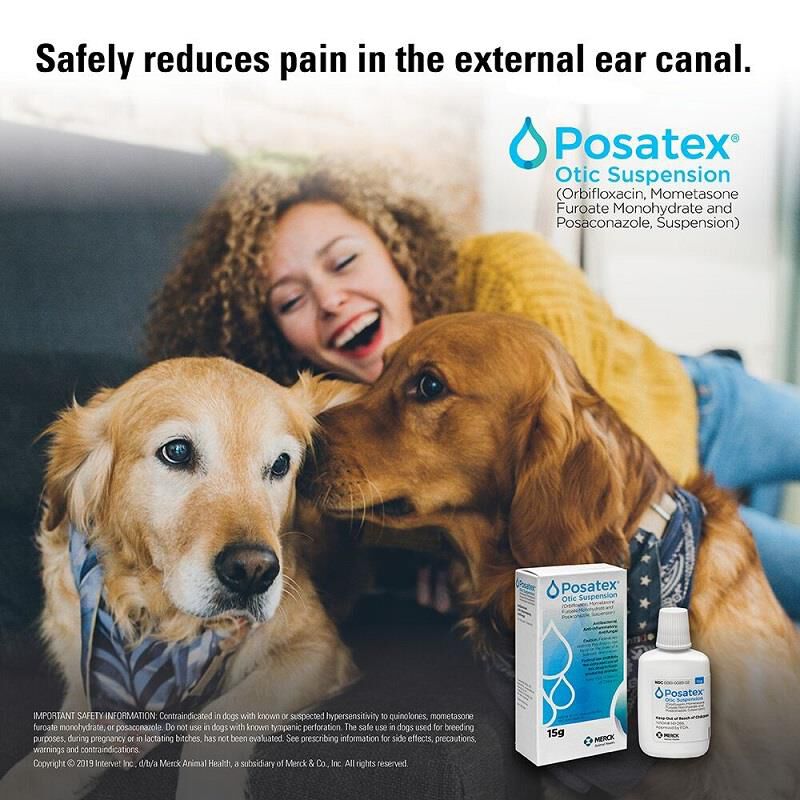 Posatex Otic Suspension 15gm | Ear Drops for Dogs | Allivet