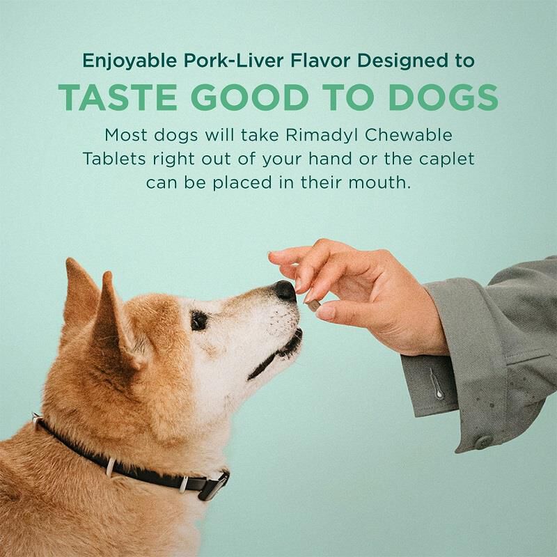 Rimadyl Chewables For Dogs - 25 mg, 75 mg, 100 mg | Allivet