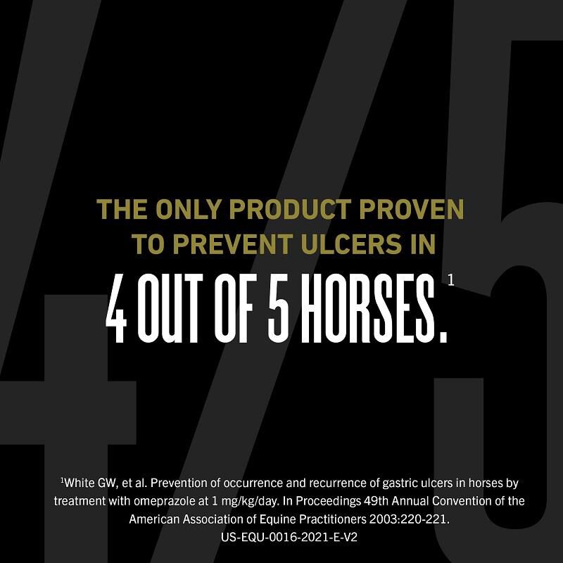 UlcerGard Paste | Omeprazole Horse Paste | Allivet