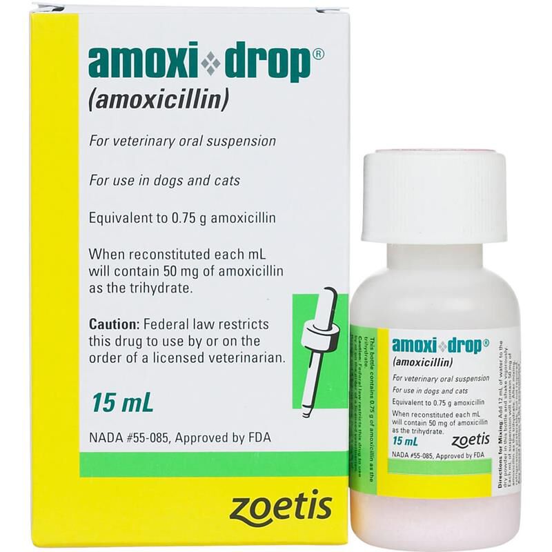 Amoxi Drop for Dogs & Cats 15ml, 50mg/ml | Ear Drops | Allivet