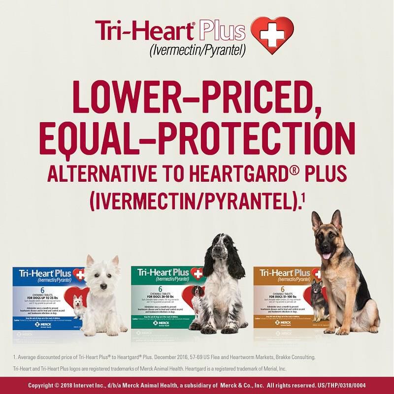 Tri-Heart Plus Chewable Tablets For Dogs | Allivet