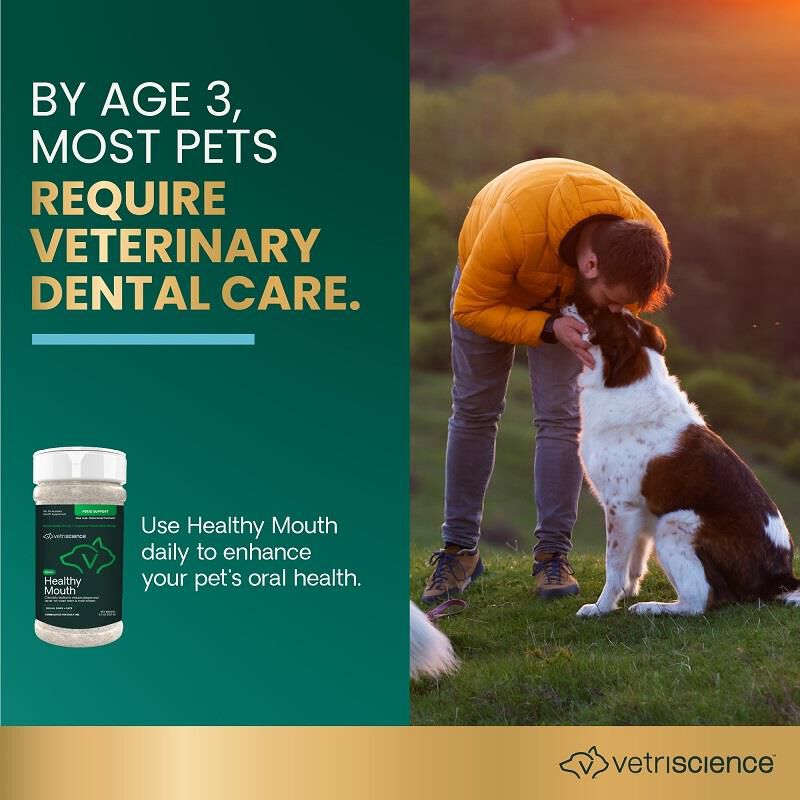 Vetri Science Perio Support | Perio-Support For Dogs And Cats