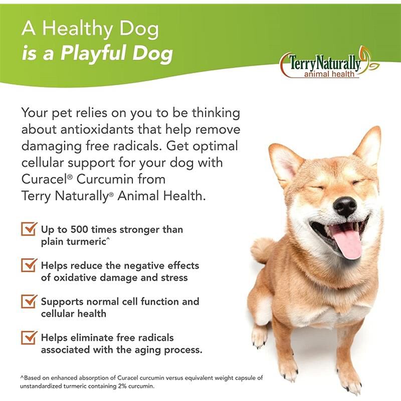 Terry Naturally Animal Health Curacel Curcumin for Dogs, 60 Softgels