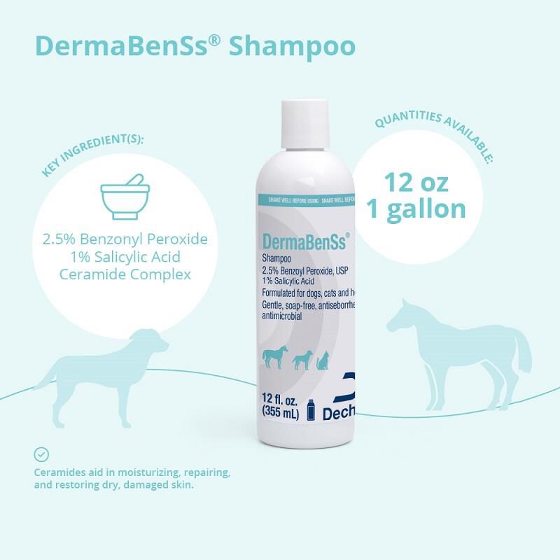 Dechra DermaBenSs Shampoo for Dogs, Cats & Horses | Allivet