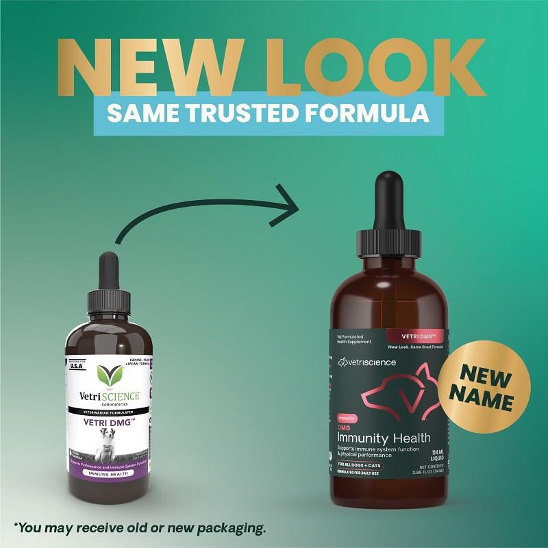 Vetri-Science Vetri-DMG Liquid supplement for dogs and cats