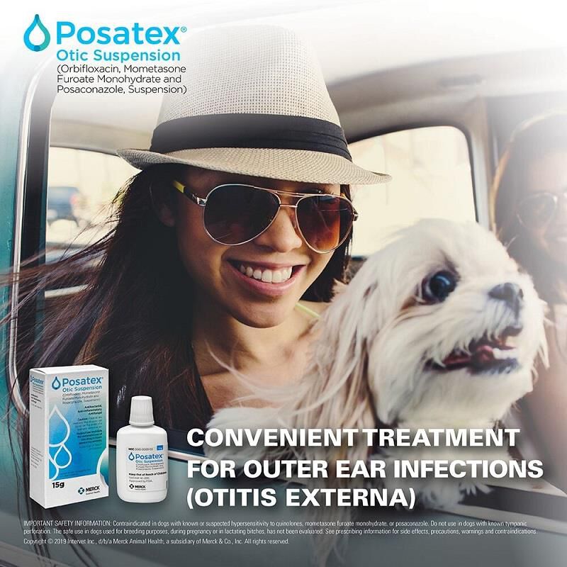 Posatex Otic Suspension 15gm | Ear Drops for Dogs | Allivet