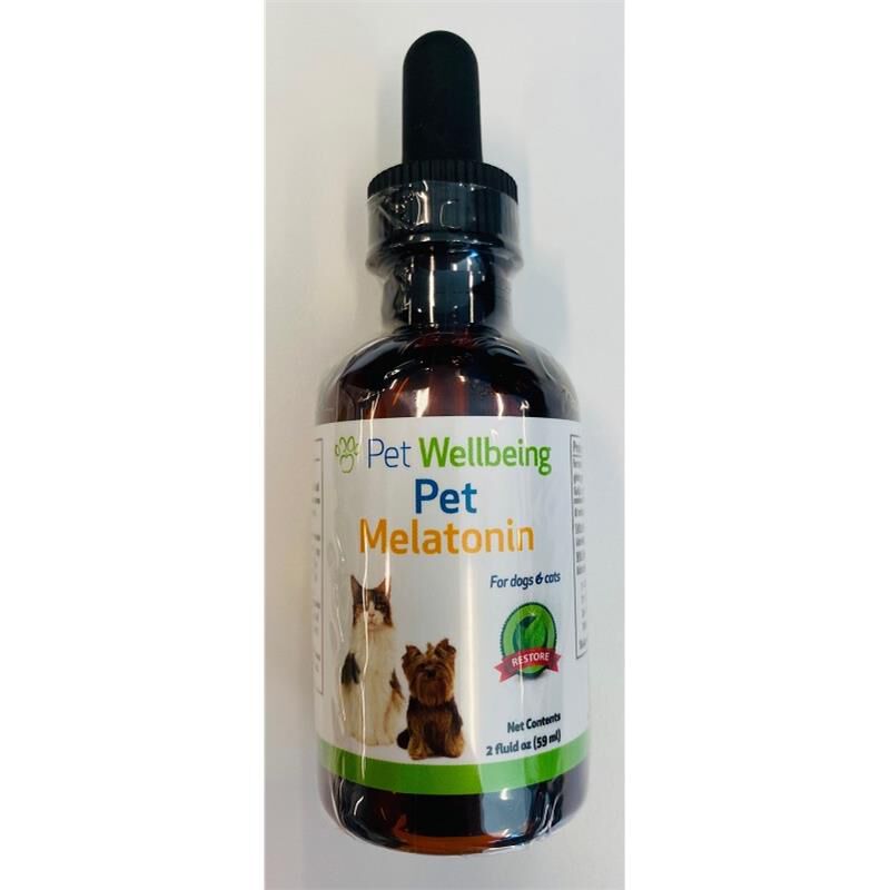 Pet Wellbeing Melatonin for Dogs | Allivet