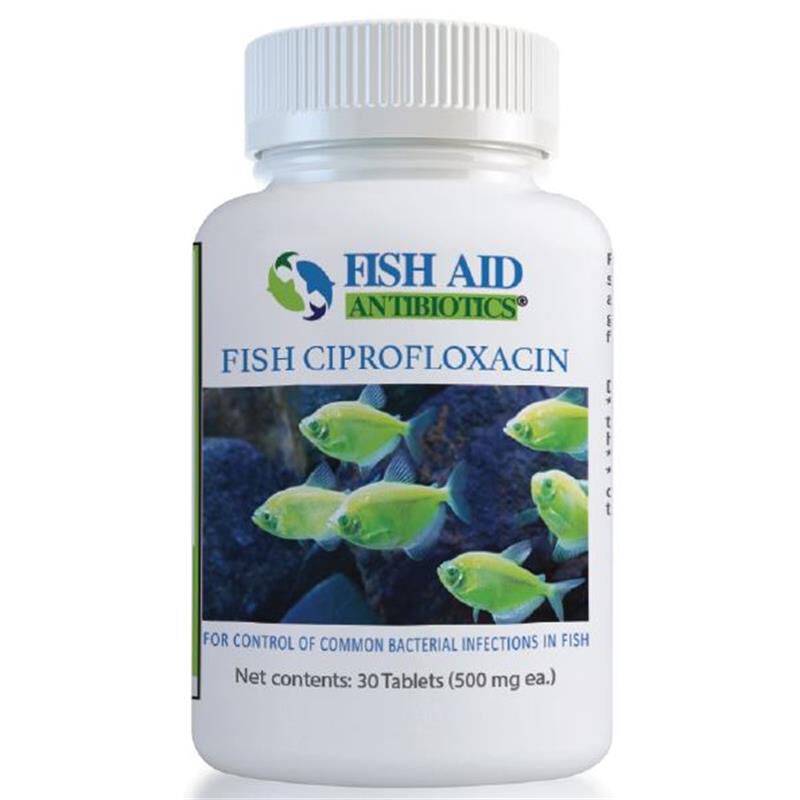 Broad Spectrum Antibiotics For Fish
