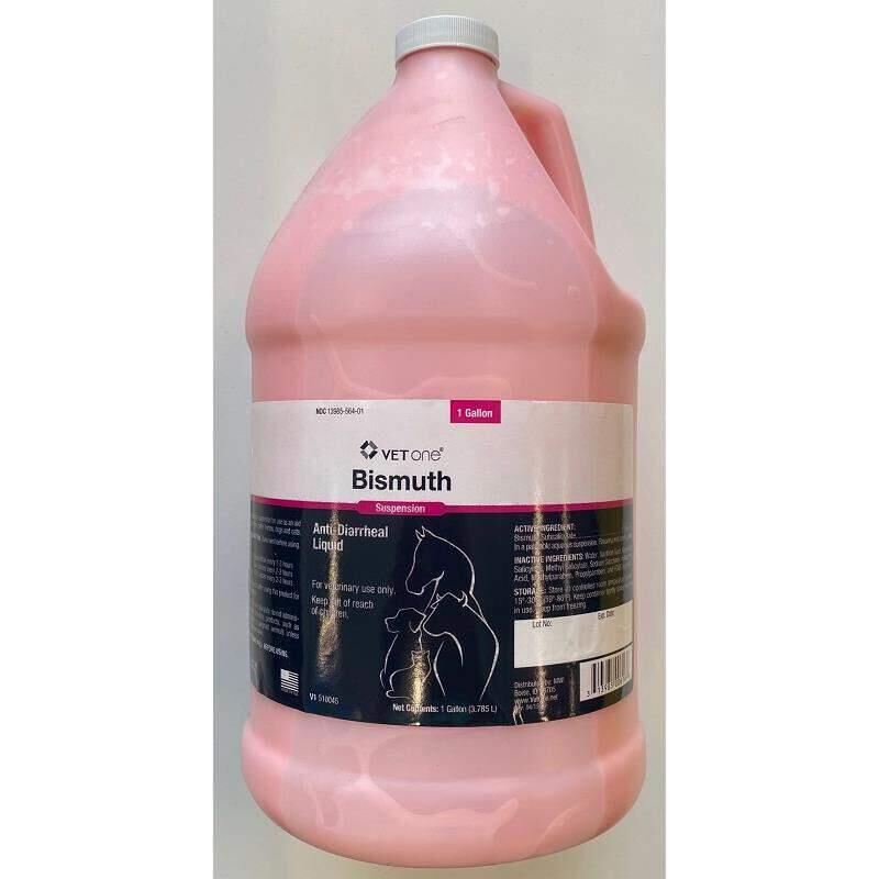 Get Best Medicine for Upset Stomach | Bismusol for Dogs, Cats, Horses ...