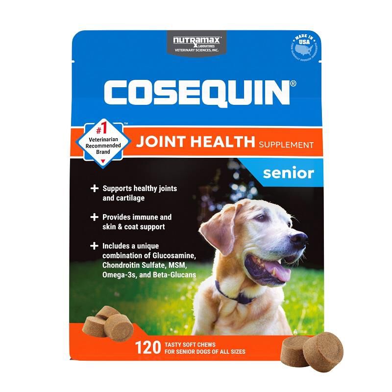 dog joints supplements