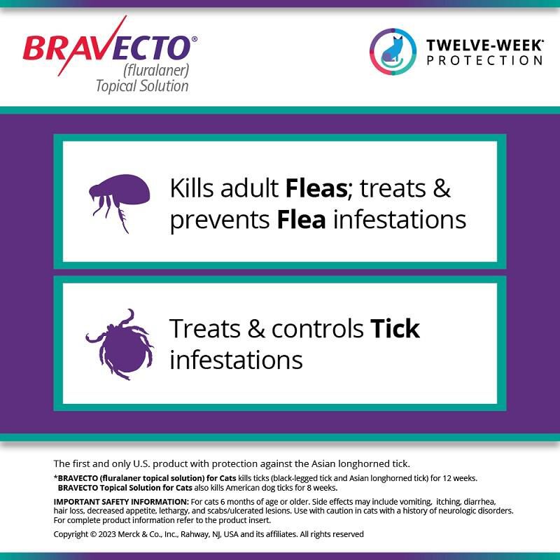 Bravecto Topical Solution Kills Fleas & Ticks on Cats