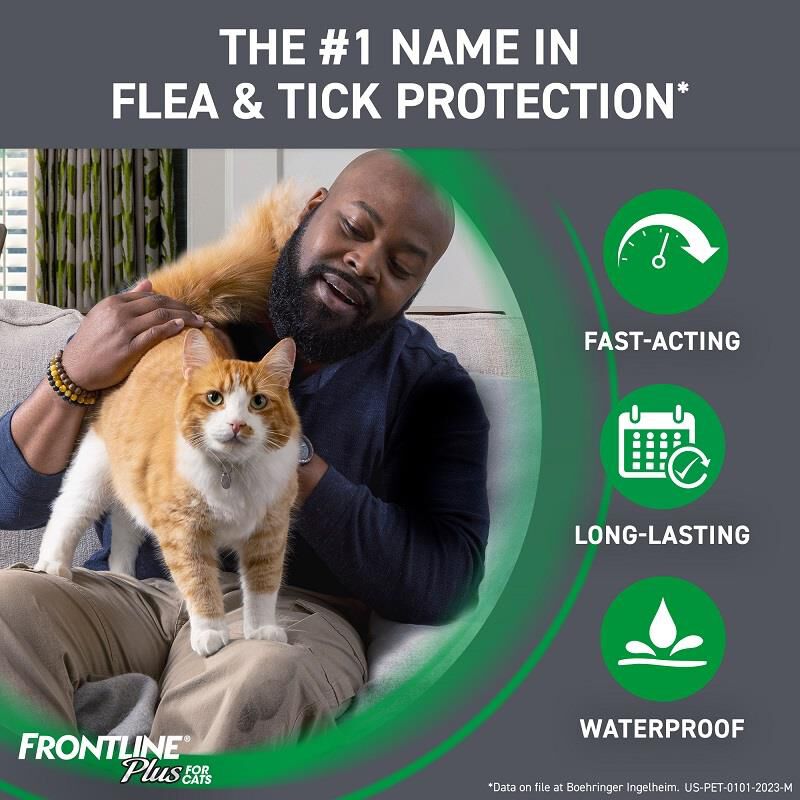 Buy Frontline Plus Flea And Tick for Cats & Kittens | Best Prices