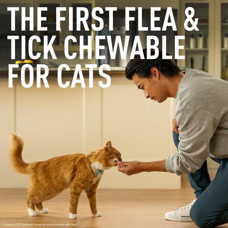 Credelio Flea & Tick Chewable Tablets for Cats