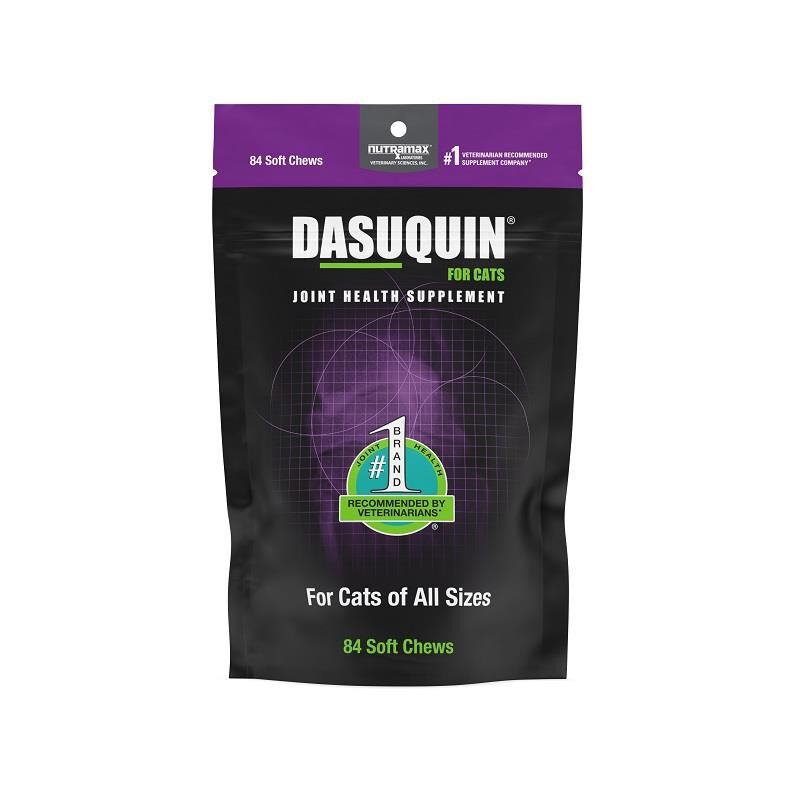 Dasuquin for Dogs and Cats | Dasuquin Soft Chews for Pets