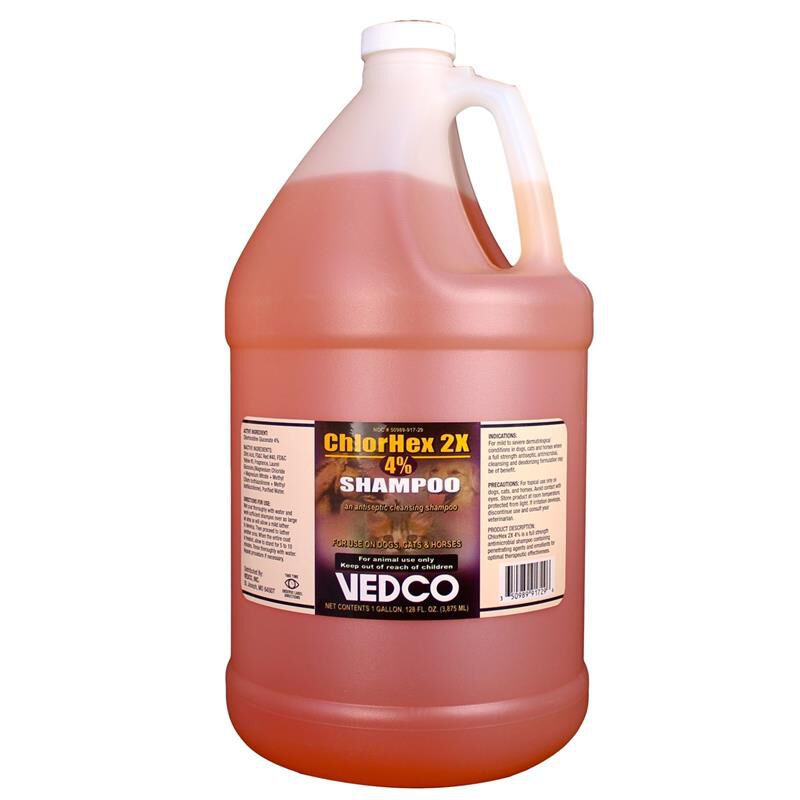 Order ChlorHex 2X 4% Shampoo 1 Gallon for dogs, cats and horses